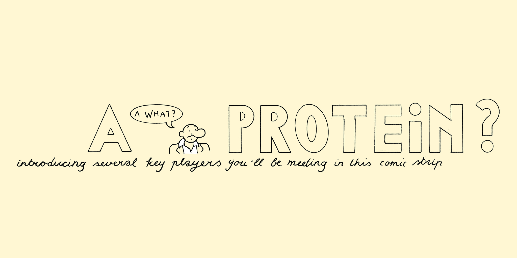 What's a protein ? Comic Strip | Issue 000 of Protein Spotlight