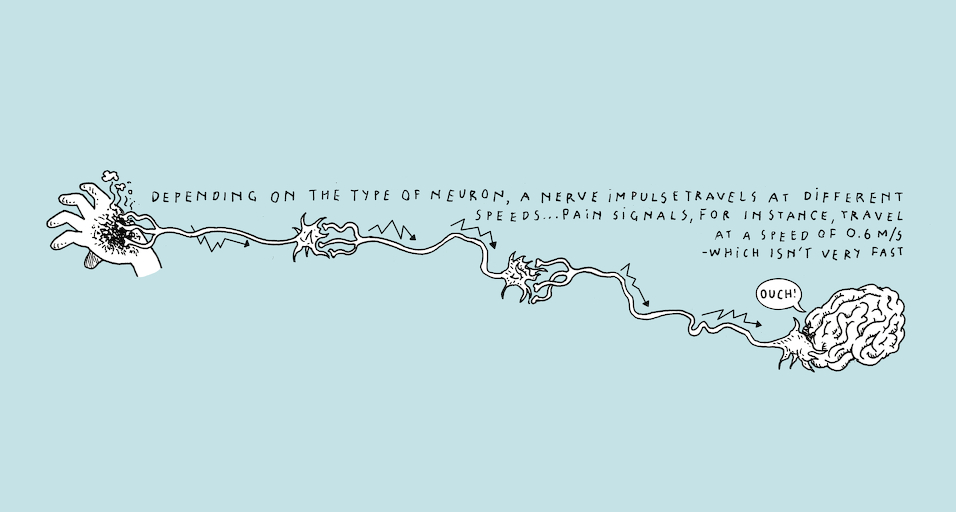 Silent pain Comic Strip | Issue 102 of Protein Spotlight