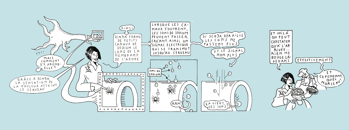 Silent pain Comic Strip | Issue 102 of Protein Spotlight