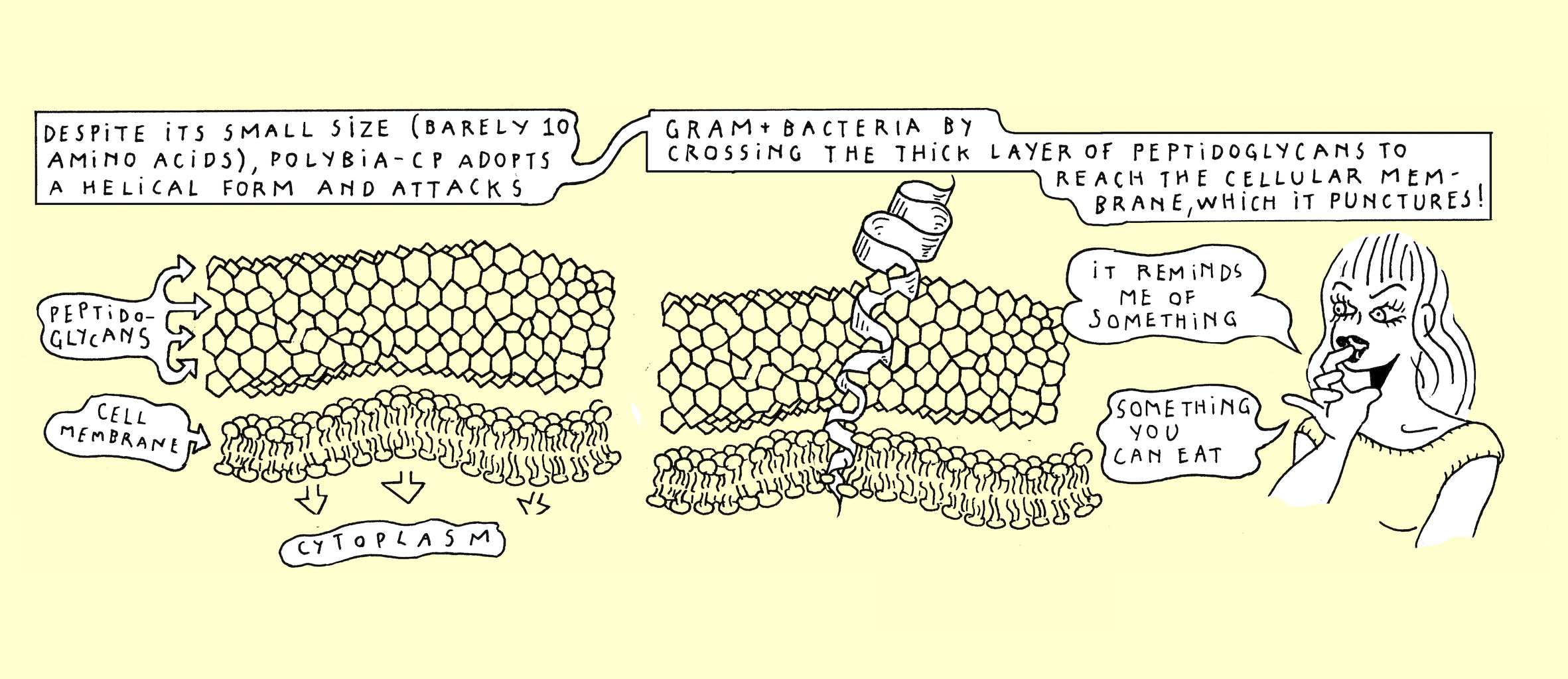 a wasp's sting Comic Strip | Issue 229 of Protein Spotlight